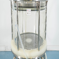 EuroFlow Resolute Chromatography Column | Surplus Solutions